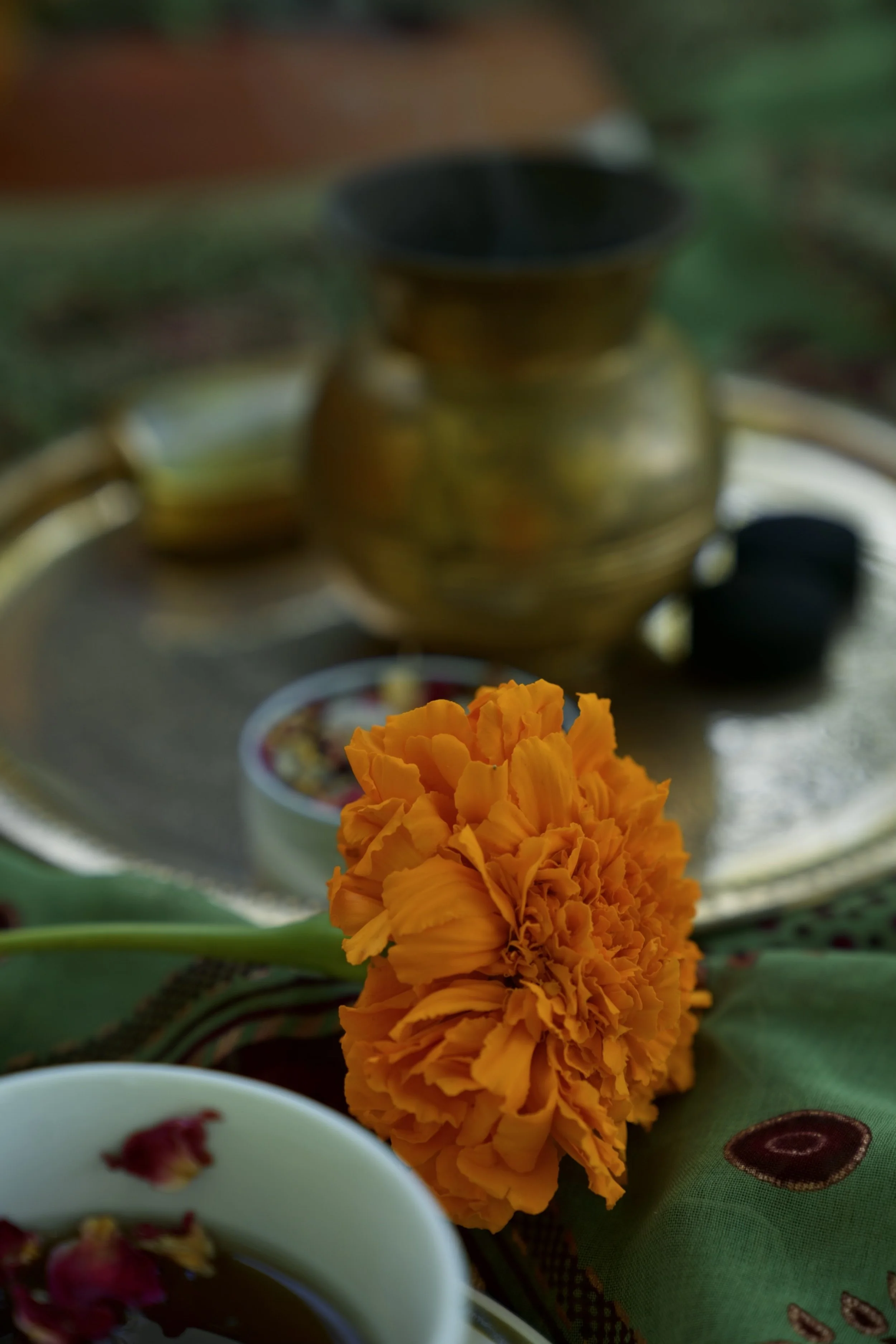 Ancestral Wellness Co.