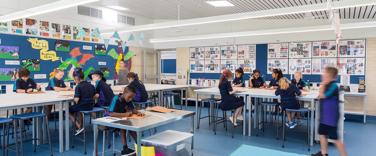 Aveley North Primary School — Carabiner