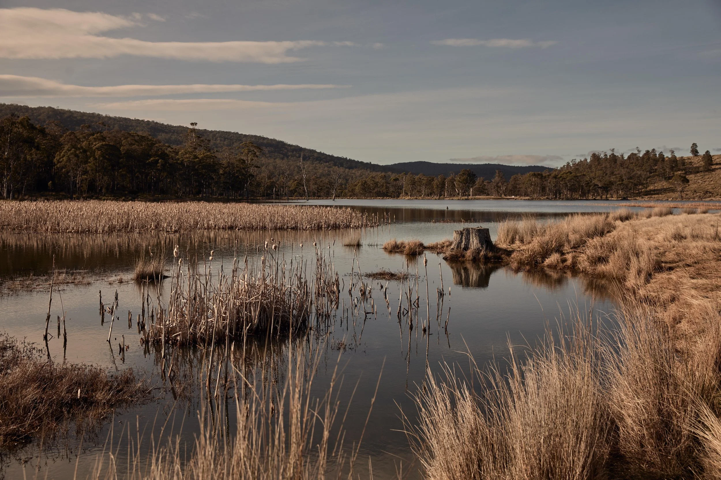 ABOUT CURRAWONG LAKES — Currawong Lakes: Wilderness Escape