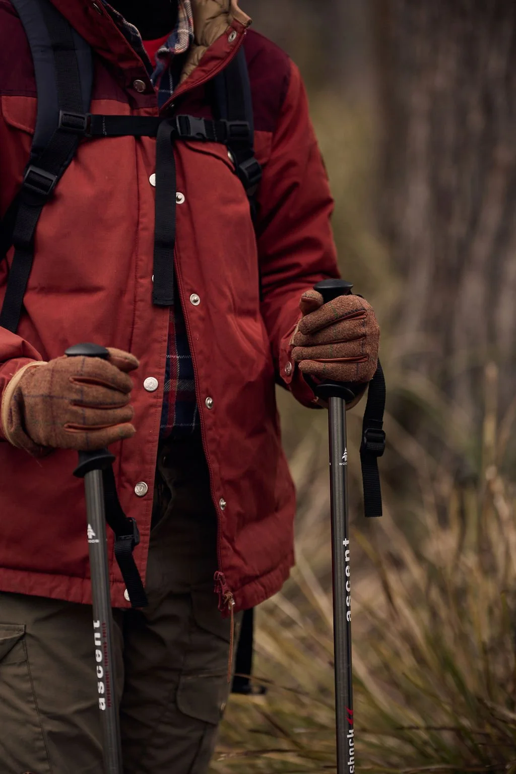 ACTIVITIES — Currawong Lakes: Wilderness Escape