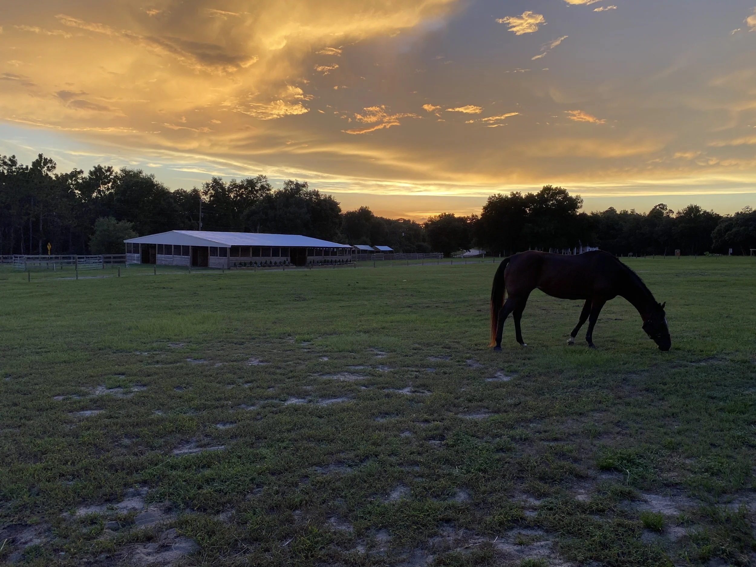 Rates | Explore, Reserve, Relax Today — Black Horse Resort Ranch