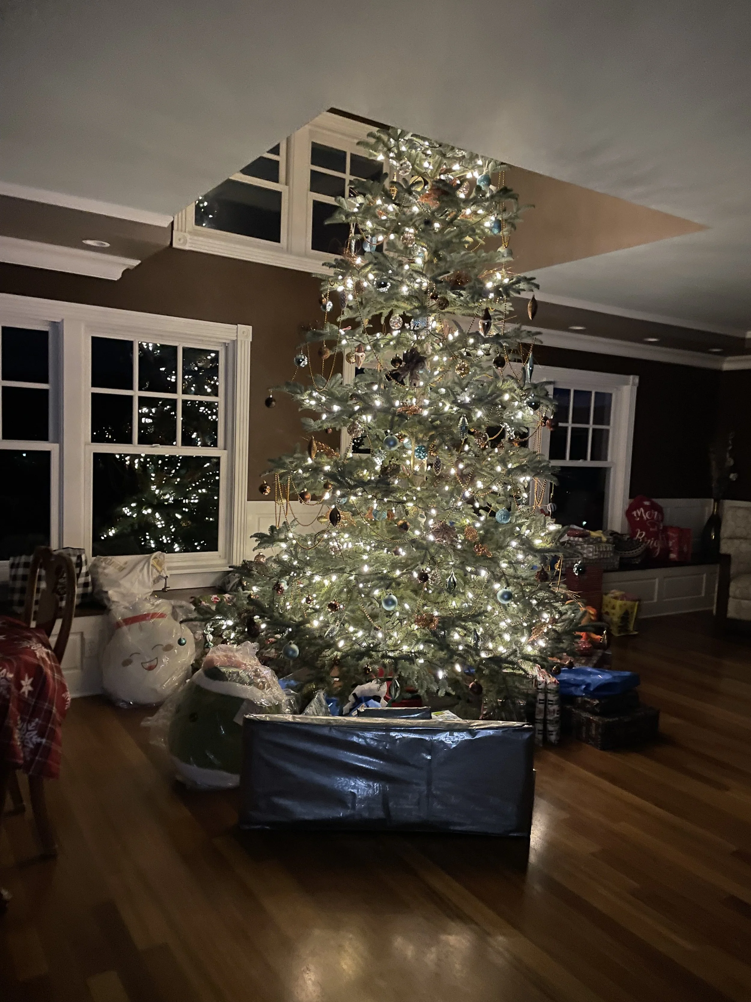 Christmas Hills Tree Farm