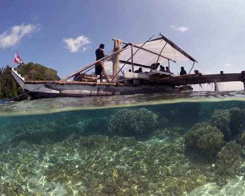Biome | Coral Triangle | Nature's Technicians by the WWF