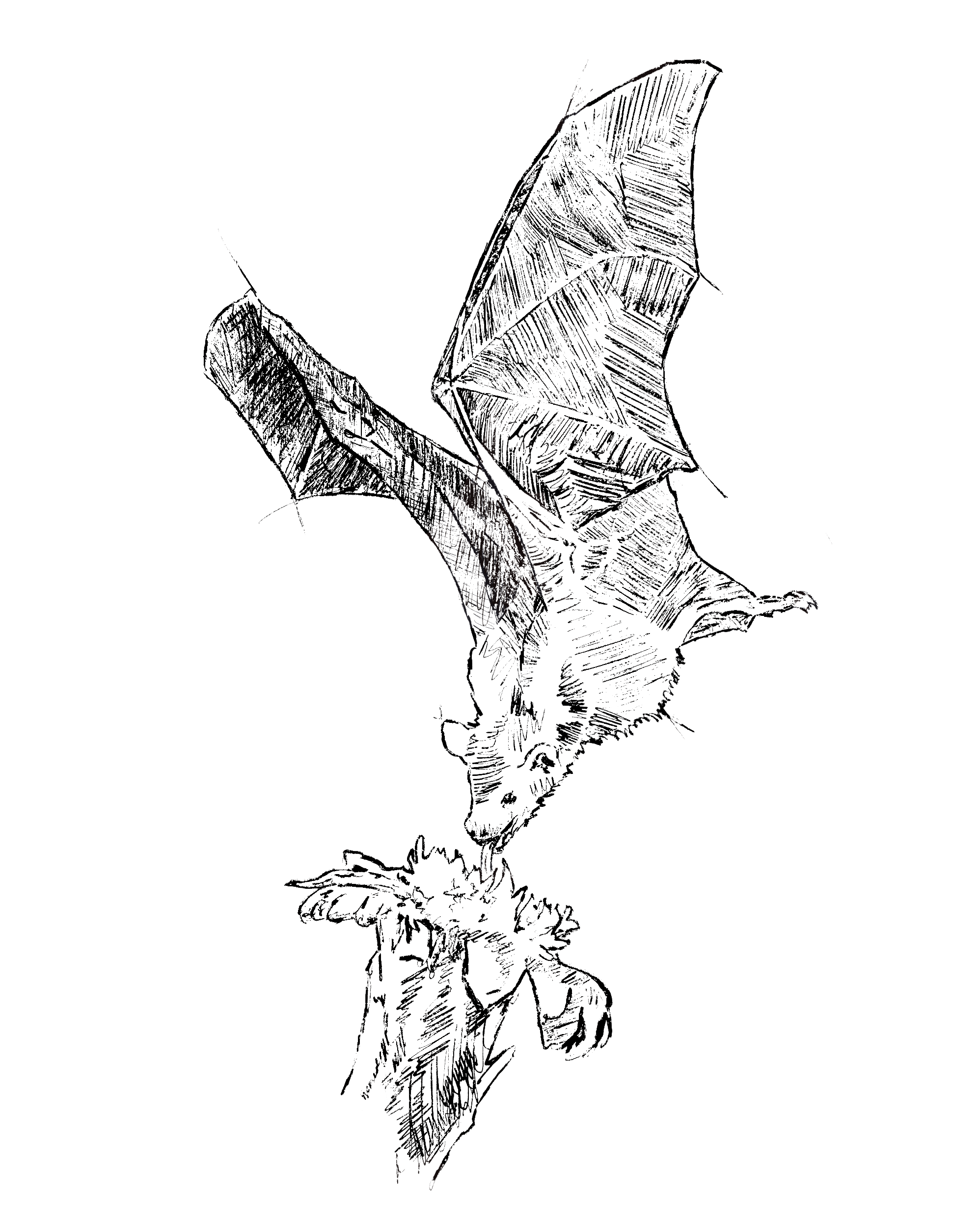 Pollinators | Nature's Technicians by the WWF