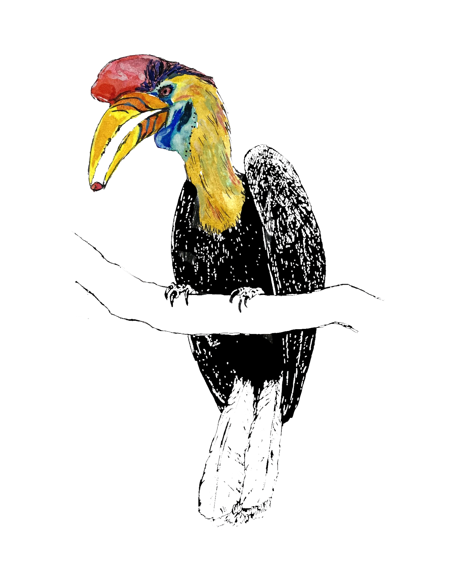Amazing Animals: Hornbill | Nature's Technicians by the WWF