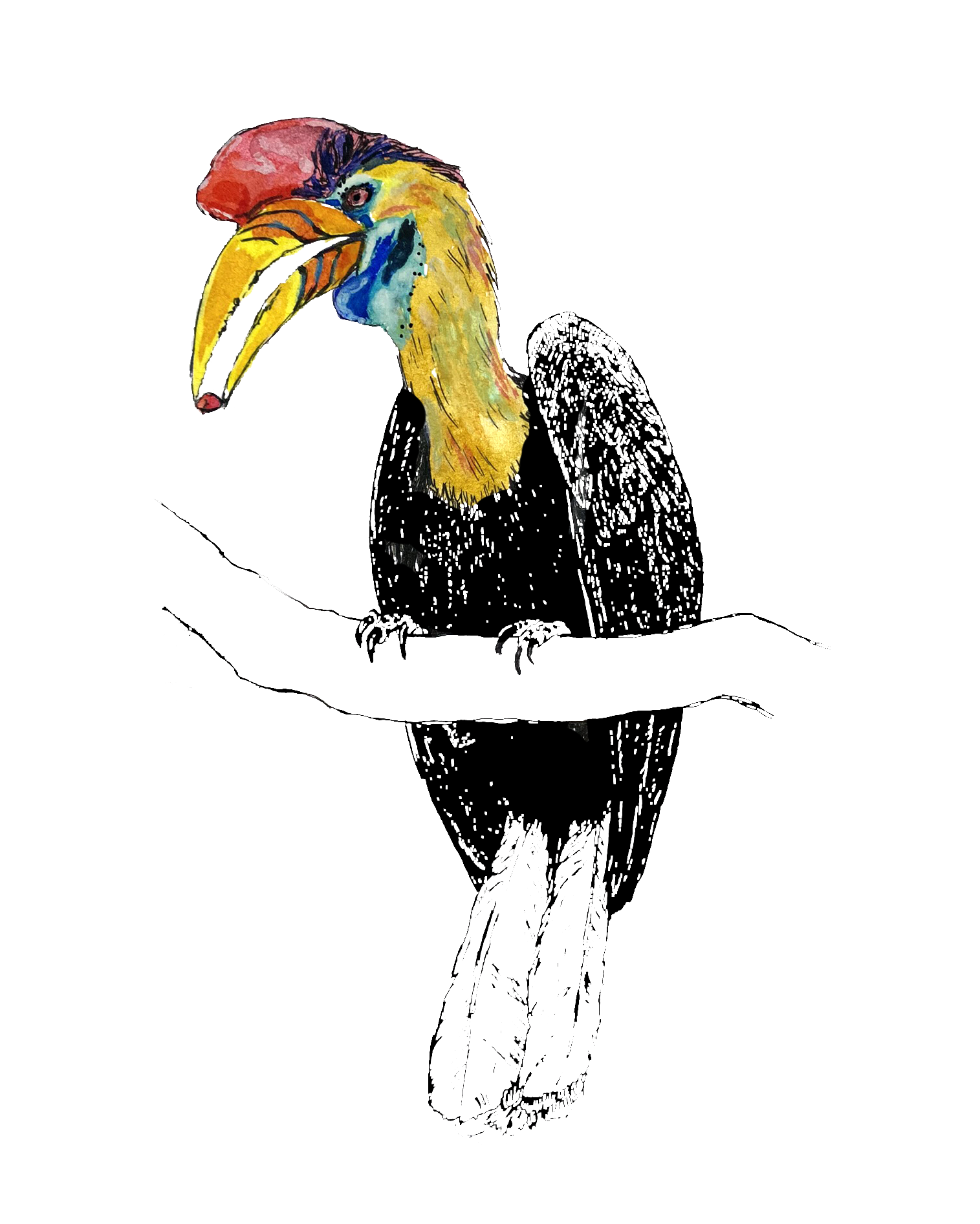 Amazing Animals: Hornbill | Nature's Technicians by the WWF