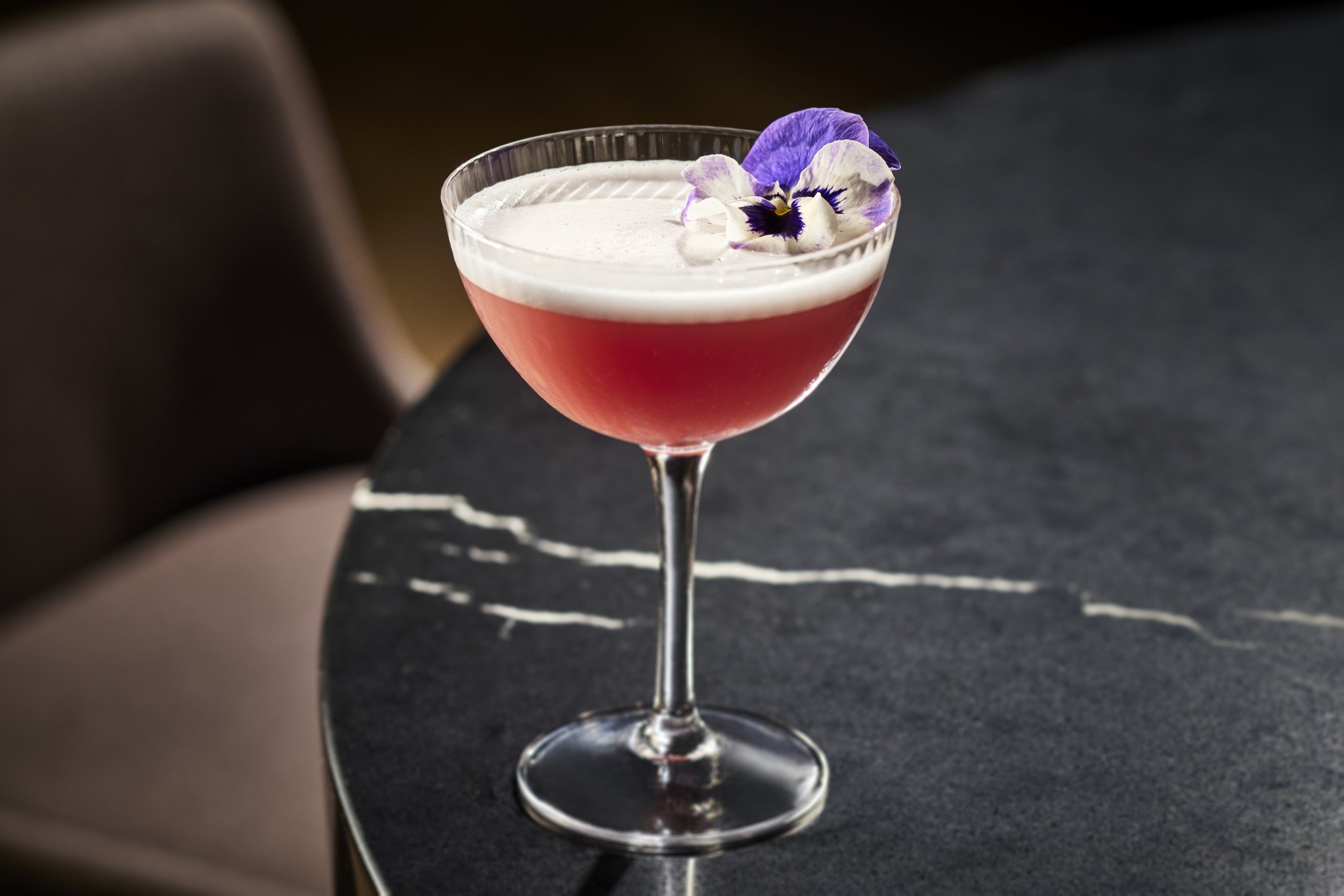 General 5 — Spotted Zebra