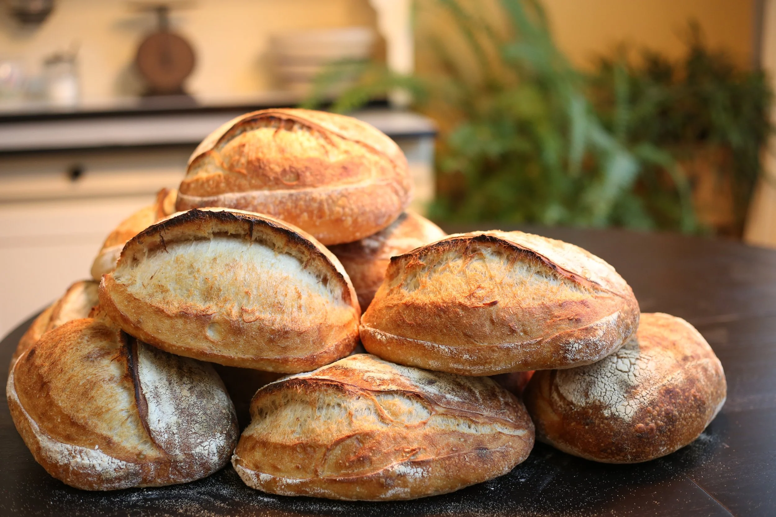 Our Story — Golden Grain Artisanal Bread