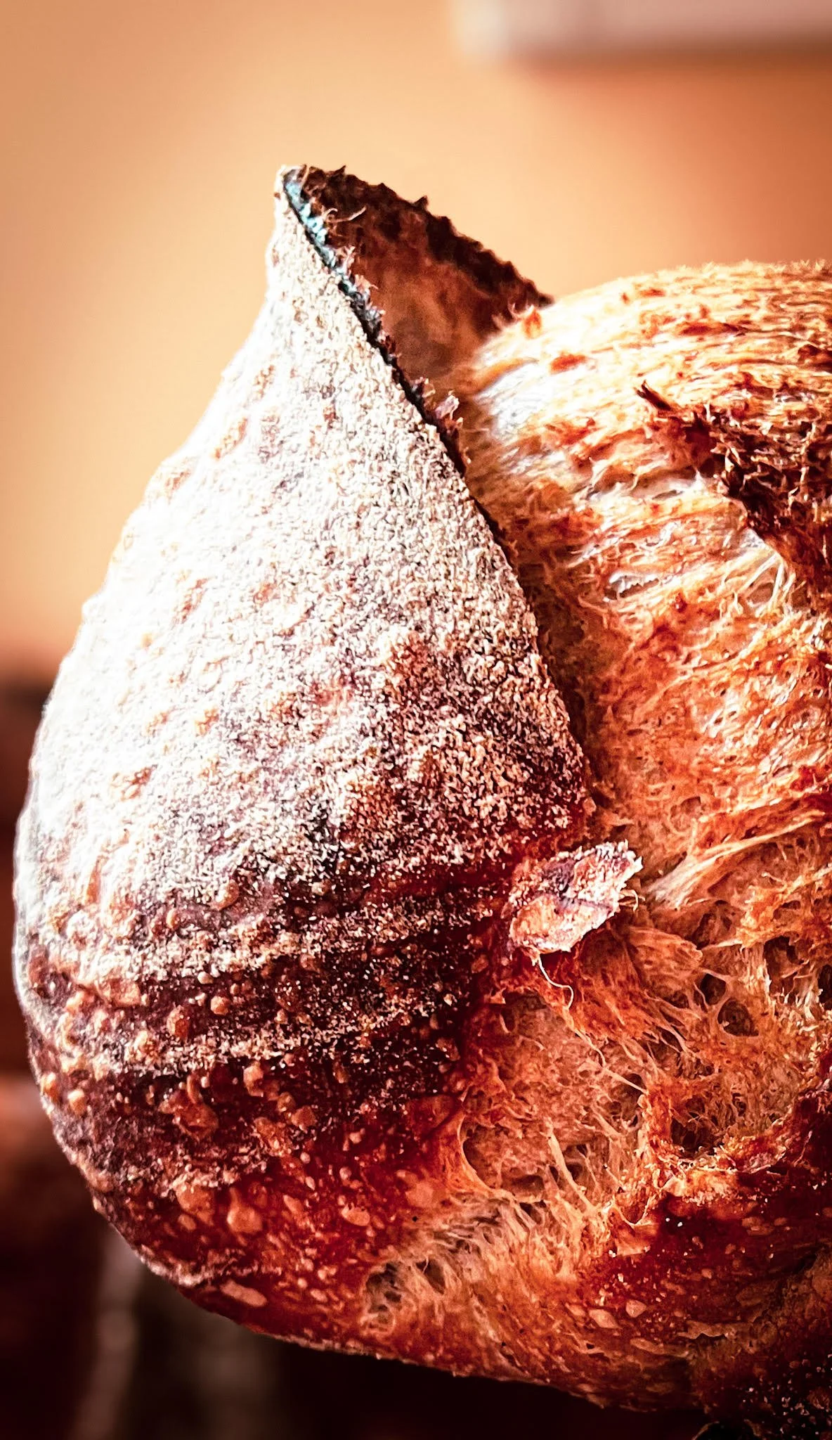 Menu — Golden Grain Artisanal Bread
