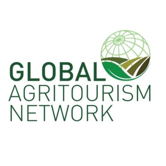 What makes a great visitor experience? 5 proven ways to keep tourists ...