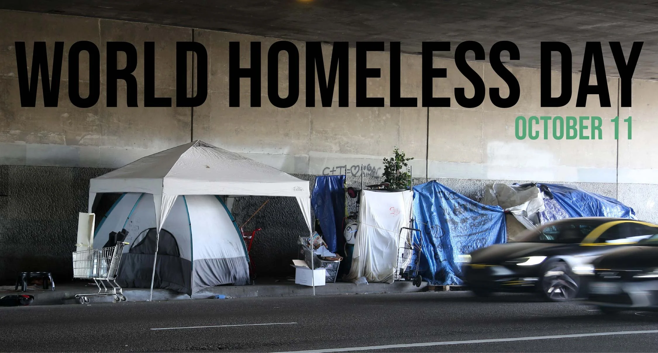 WORLD HOMELESS DAY — chatr