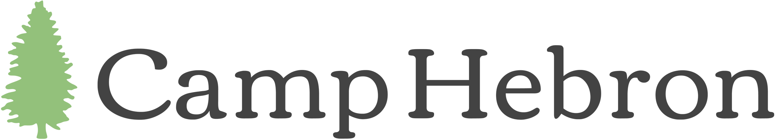 Adventure Education — Camp Hebron