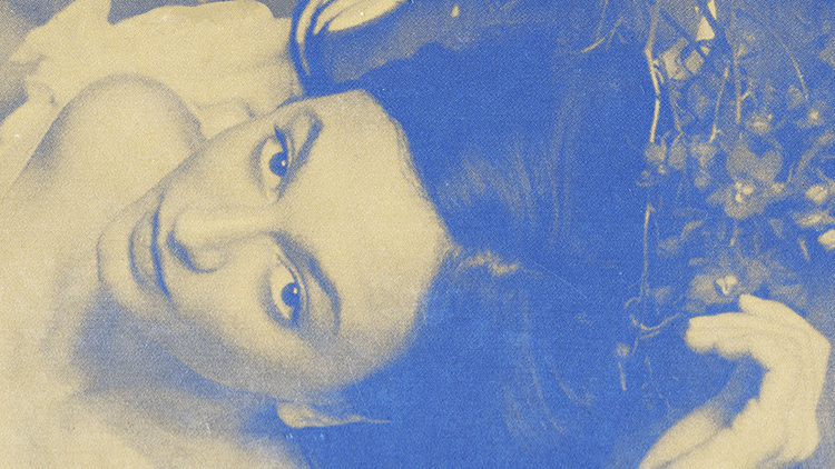 Daya Official Website