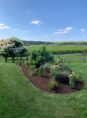 Top Notch Homes | Build Your Dream Home Today