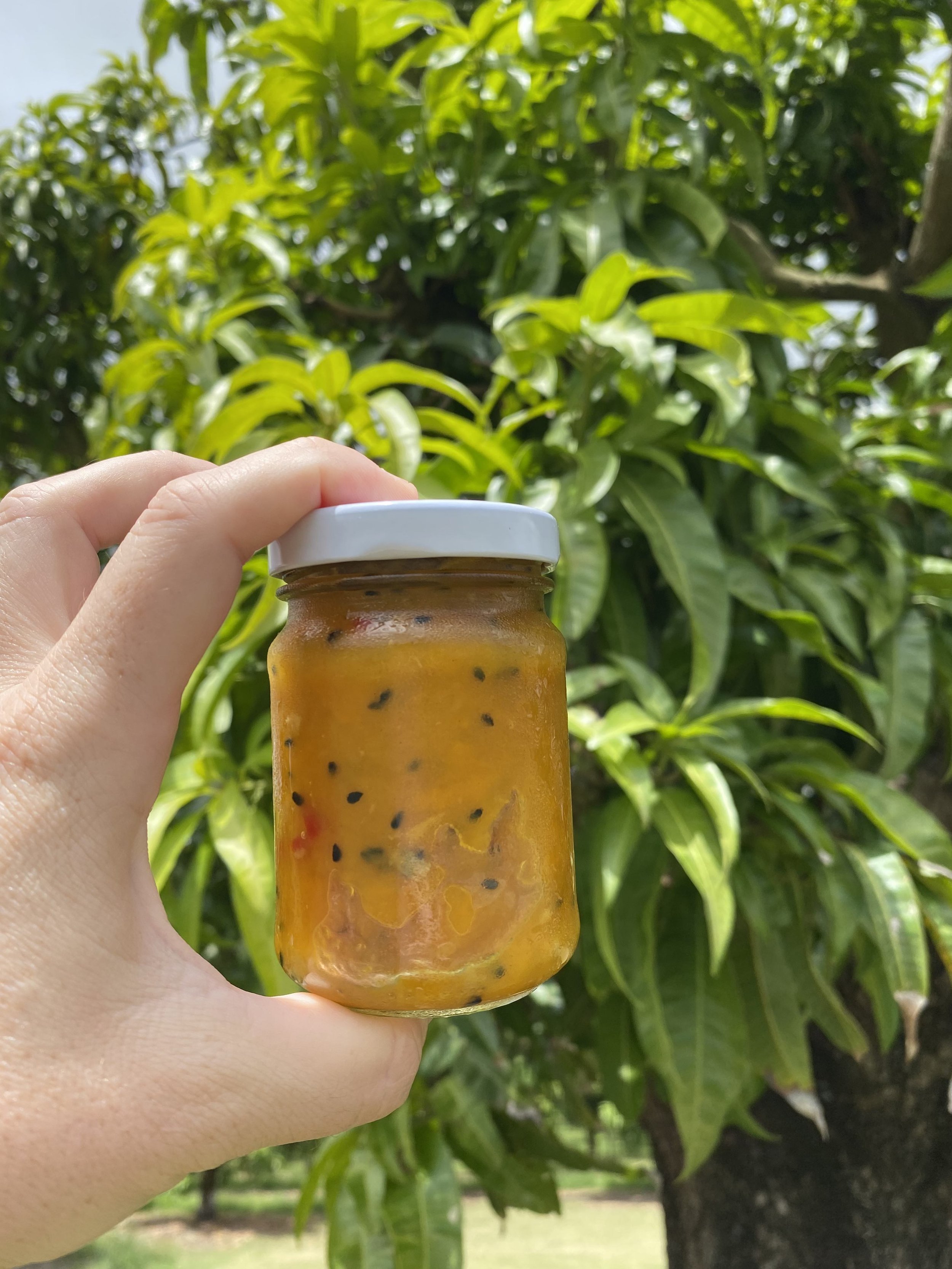 R2E2 Mangoes — Sunshine Mangoes