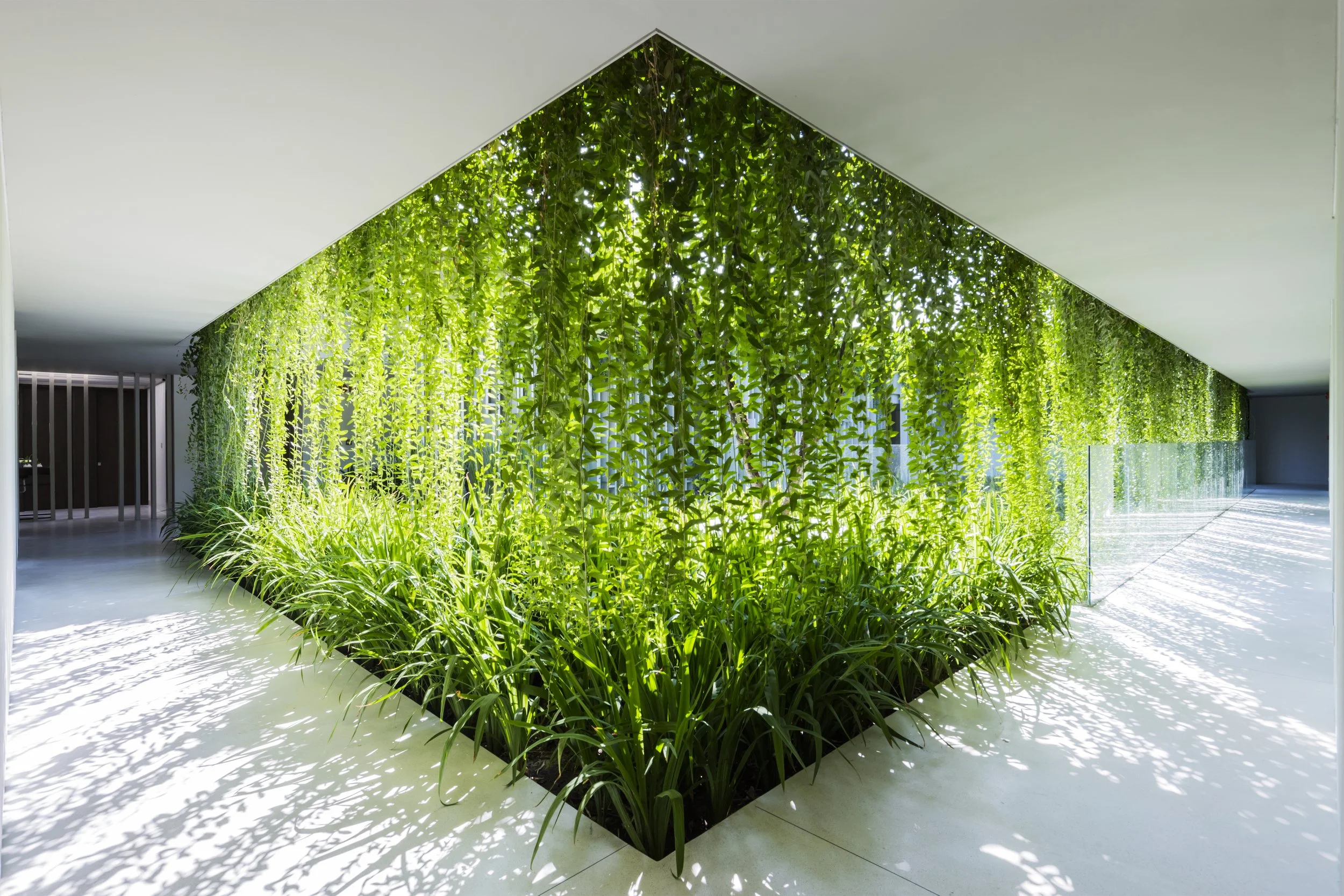 MIA Design Studio - Contemporary & Sustainable Architecture Design Firm