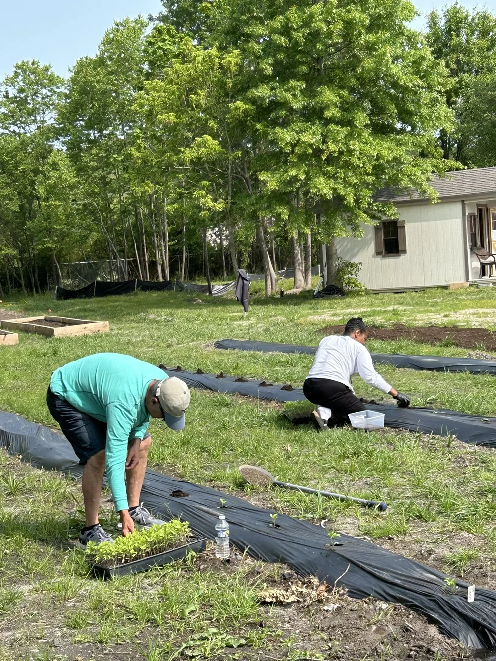 Community Garden — Springboard Delaware