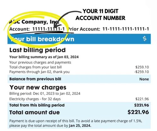 ABC Energy | How to Read Your Con Edison Bill - ABC Energy Guide to ...