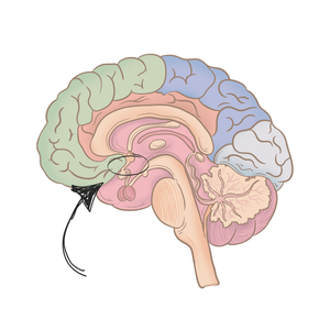 Tuning Into Your Natural Rhythm - Dr. Jessica Meers — Rhythm Wellness ...