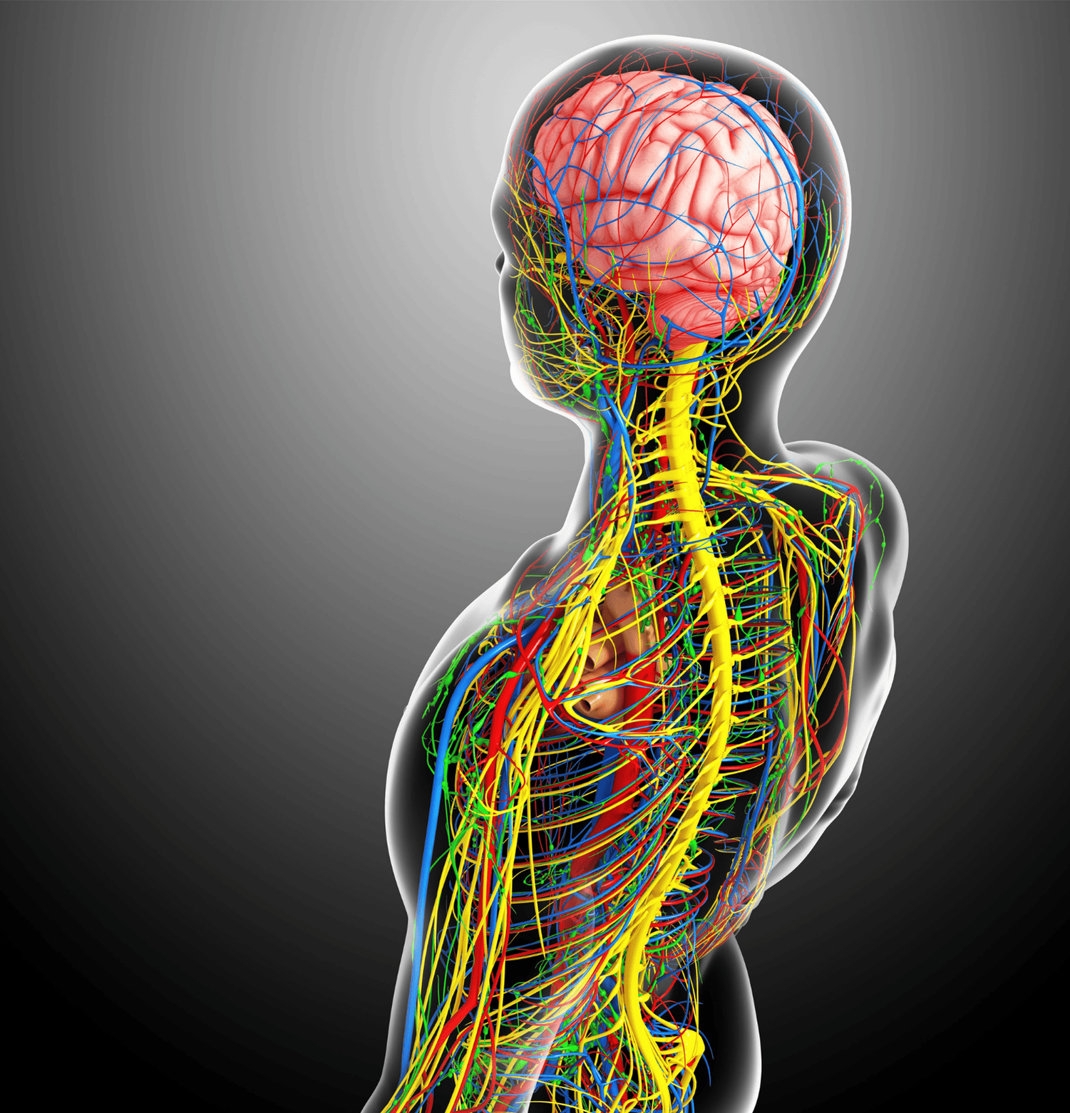 How Sleep Impacts Anxiety, Depression, and Pain. - Dr. Jessica Meers ...