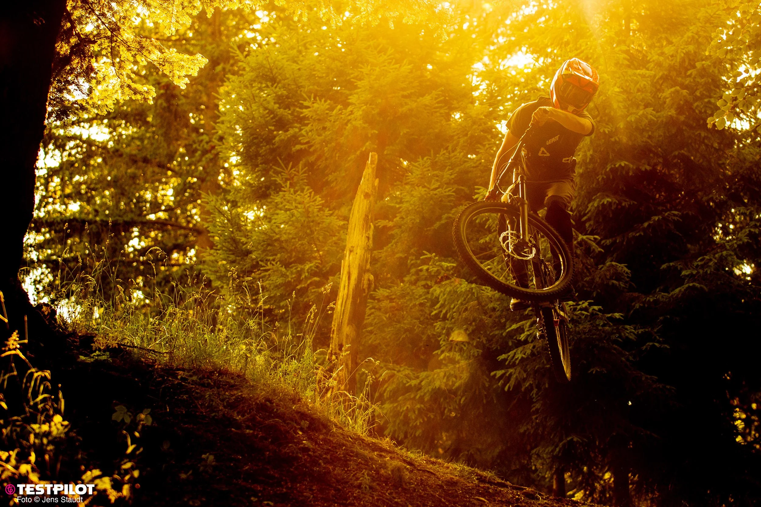 Test Banshee Titan – Meine Fresse — Testpilot.bike