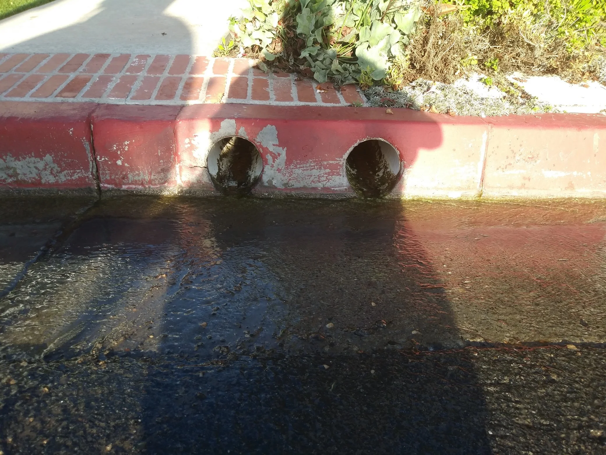 Storm Drain Services Riverside, CA — Rooter Alert Plumbing