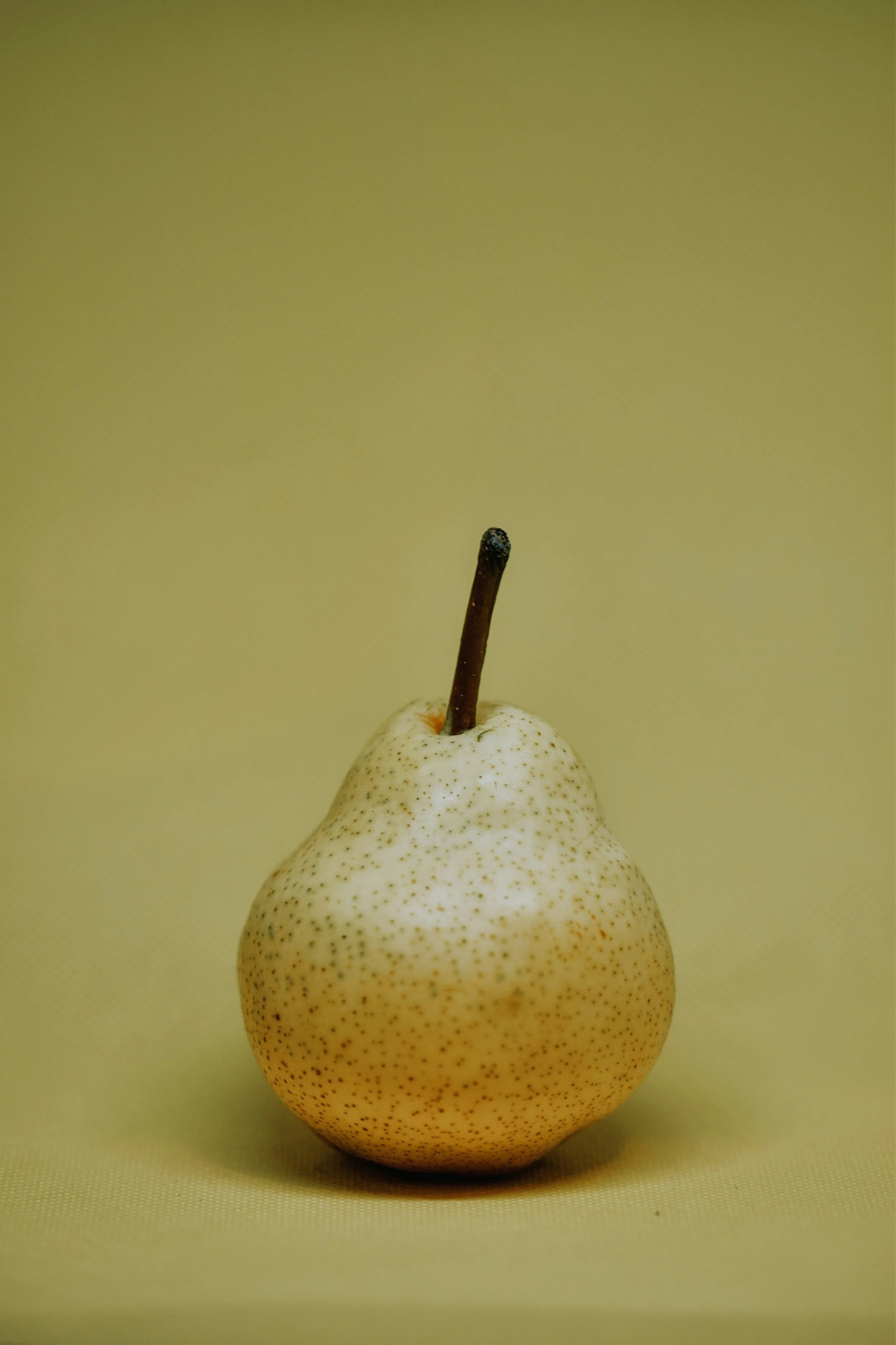 Bartlett Pear — Ingham Conservation District