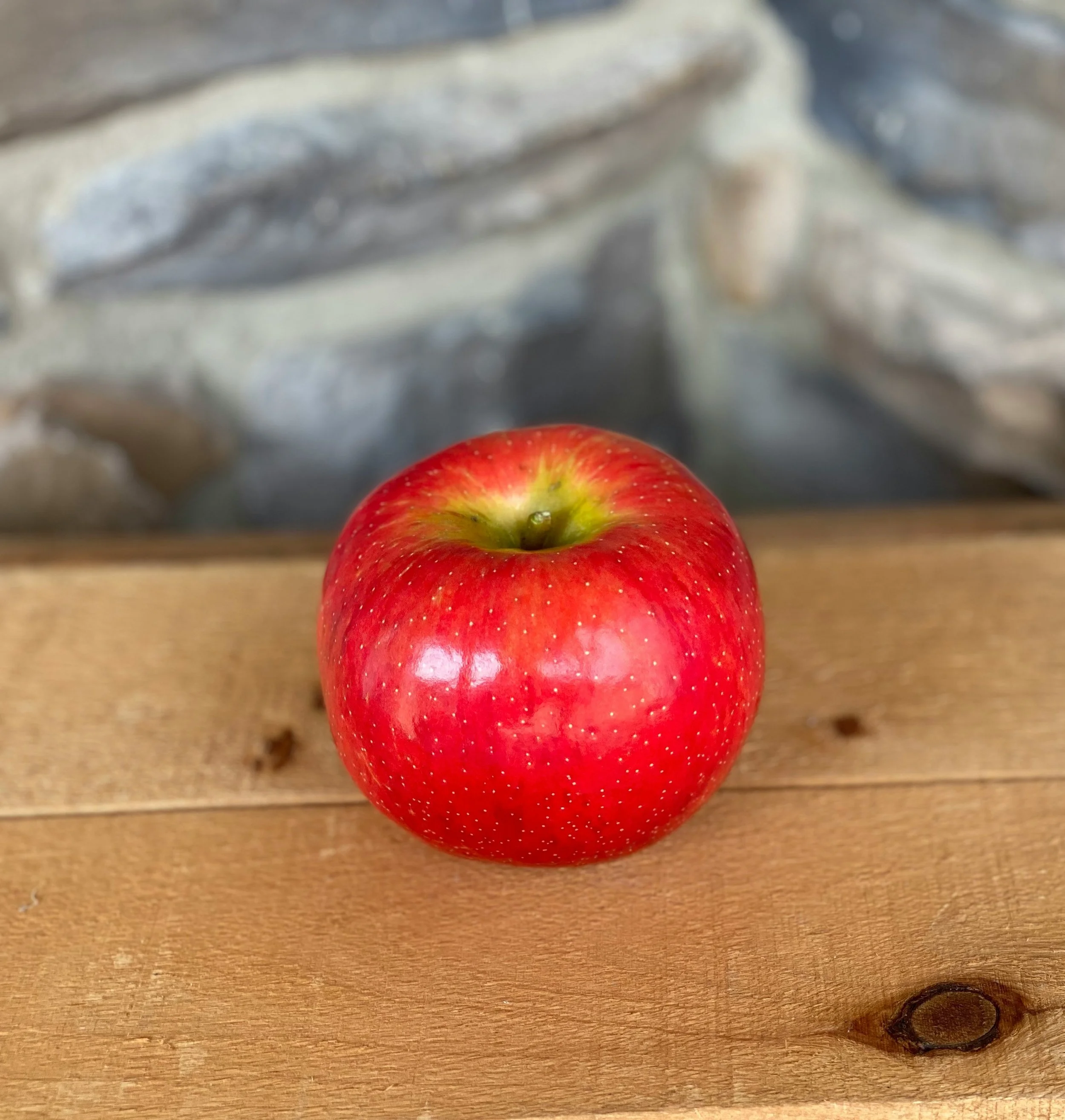 Royal Red Honeycrisp® — Ingham Conservation District