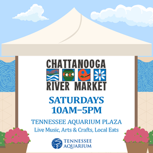 MARKETS — SO-DOUGH BY NEEKA DEGRAW