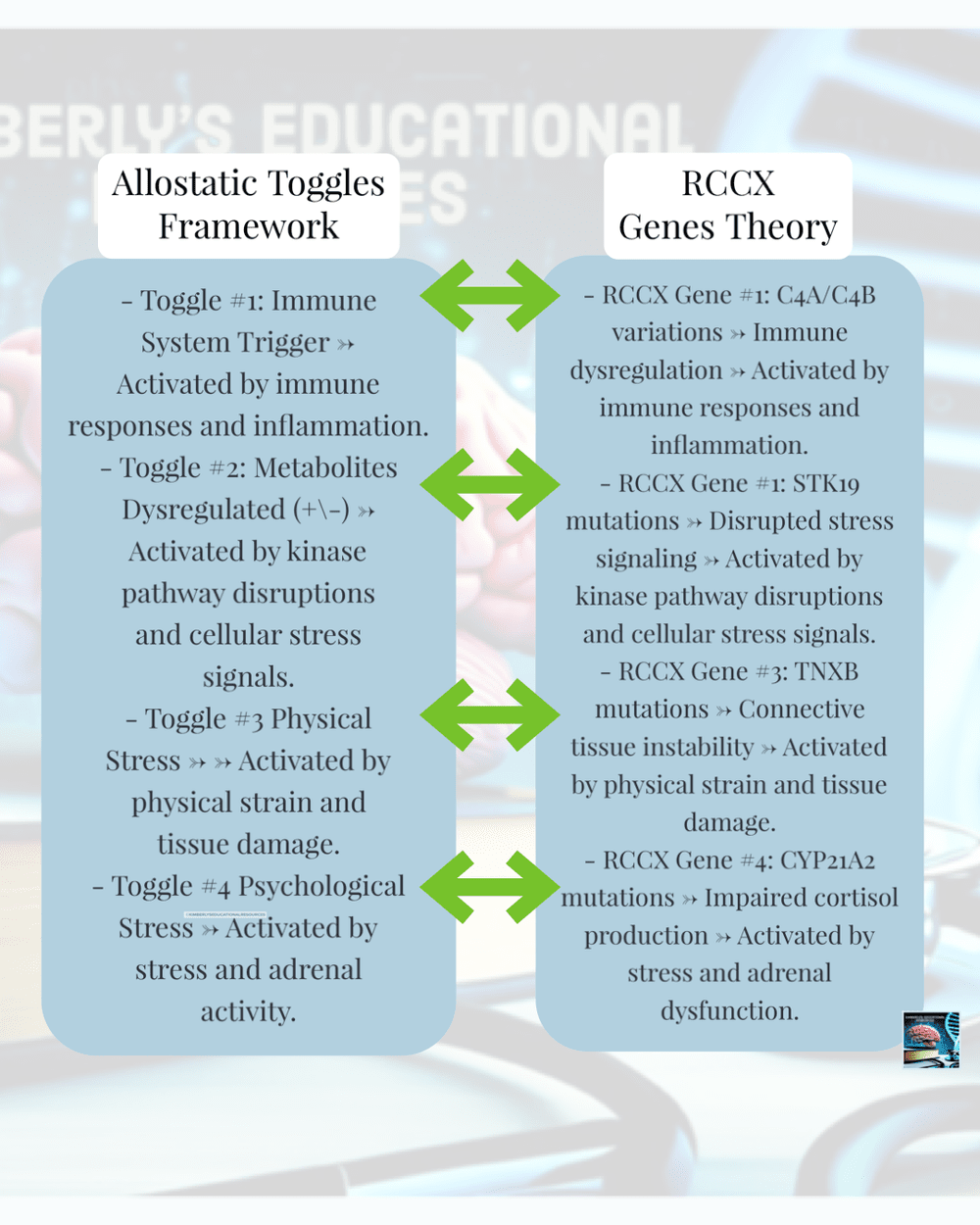 Rccx Theory Vs The Allostatic Toggles Framework — Kimberlys Educational Resources