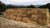 Hay Houses Are Not Straw Bale Houses | Strawbale.com