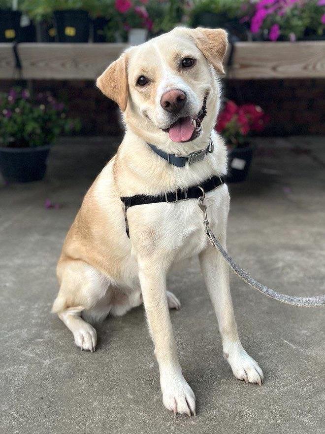 People — Datta Lab