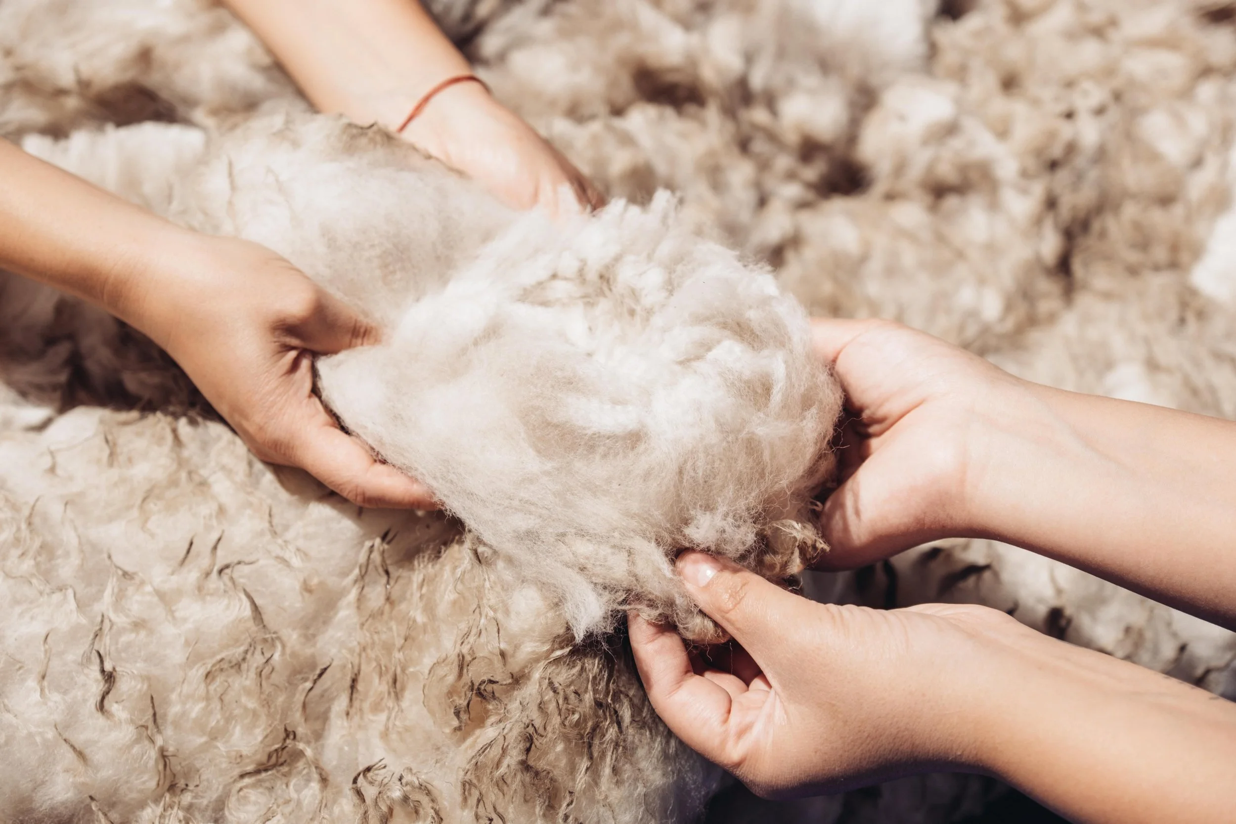 Hometex sustainable alpaca bedding manufacturer. — Hometex Perú