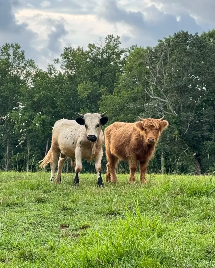 Private Georgia Farm Tours — Northern Roots Farm