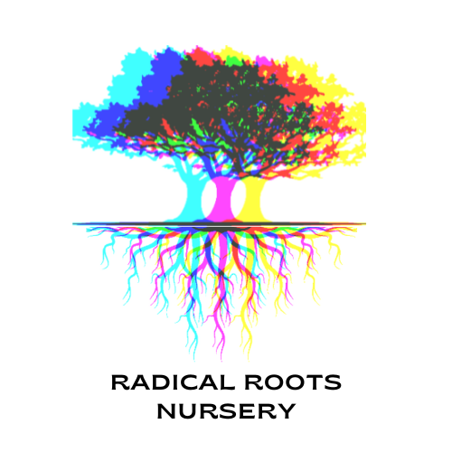 Polly Peach — Radical Roots Nursery