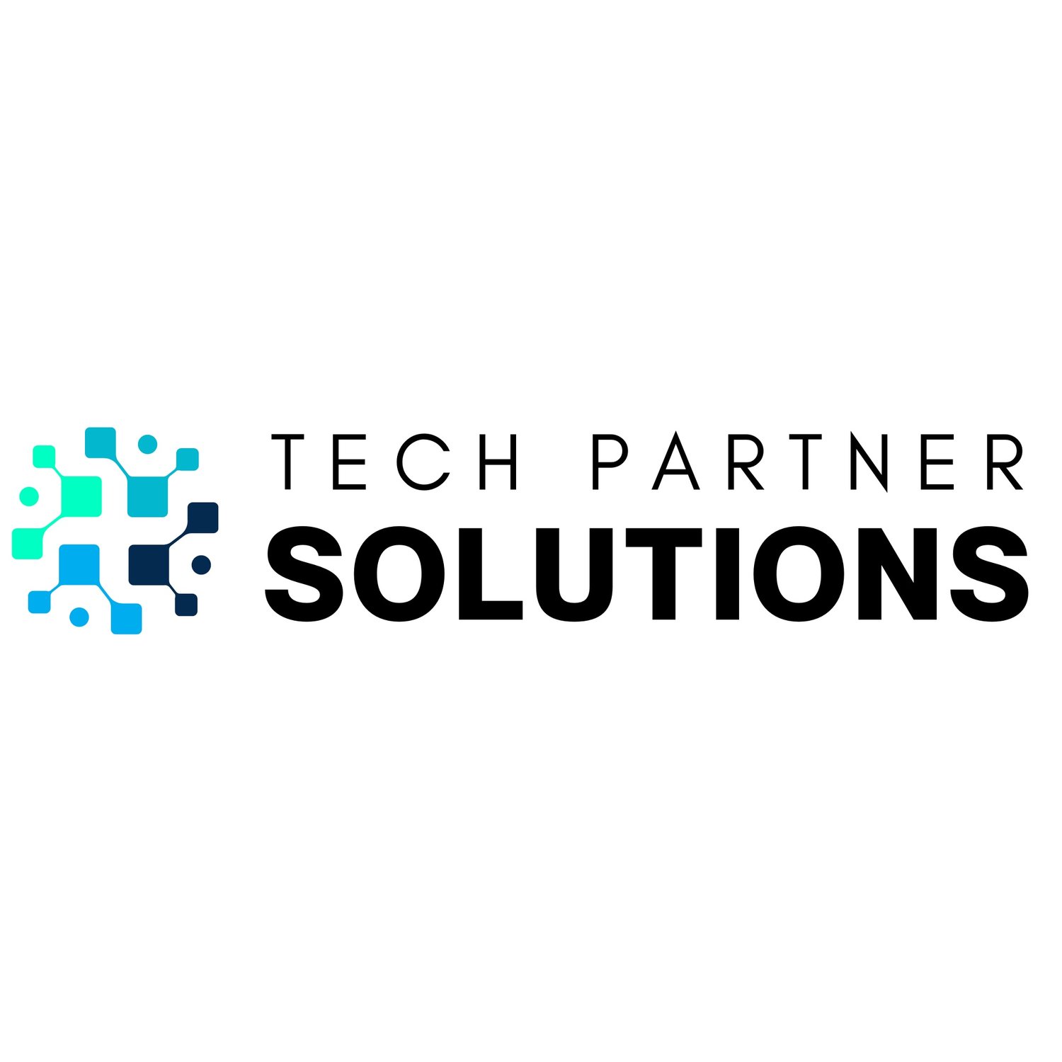 Tech Partner Solutions Tech Partner Solutions