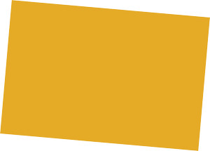 Little Happy Learners