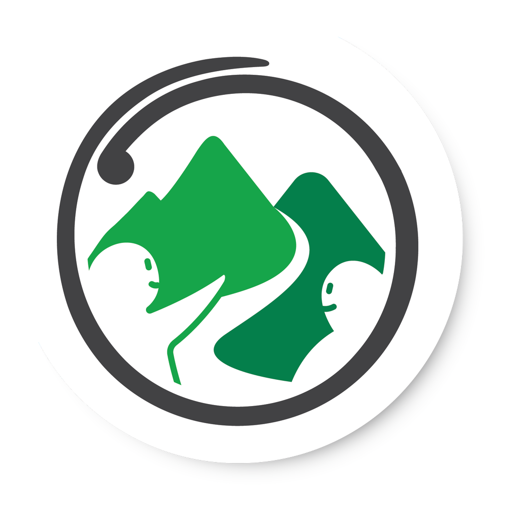 Community Mentoring — Interactionz