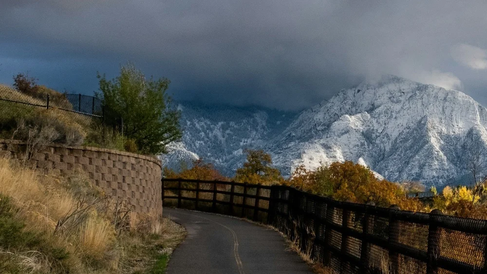 Wasatch Property Managers