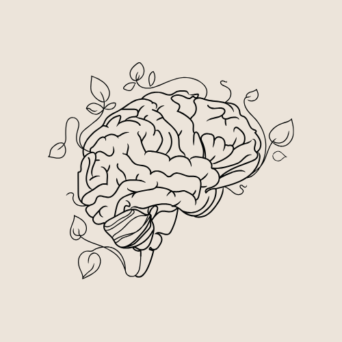 TransDimensional Mapping