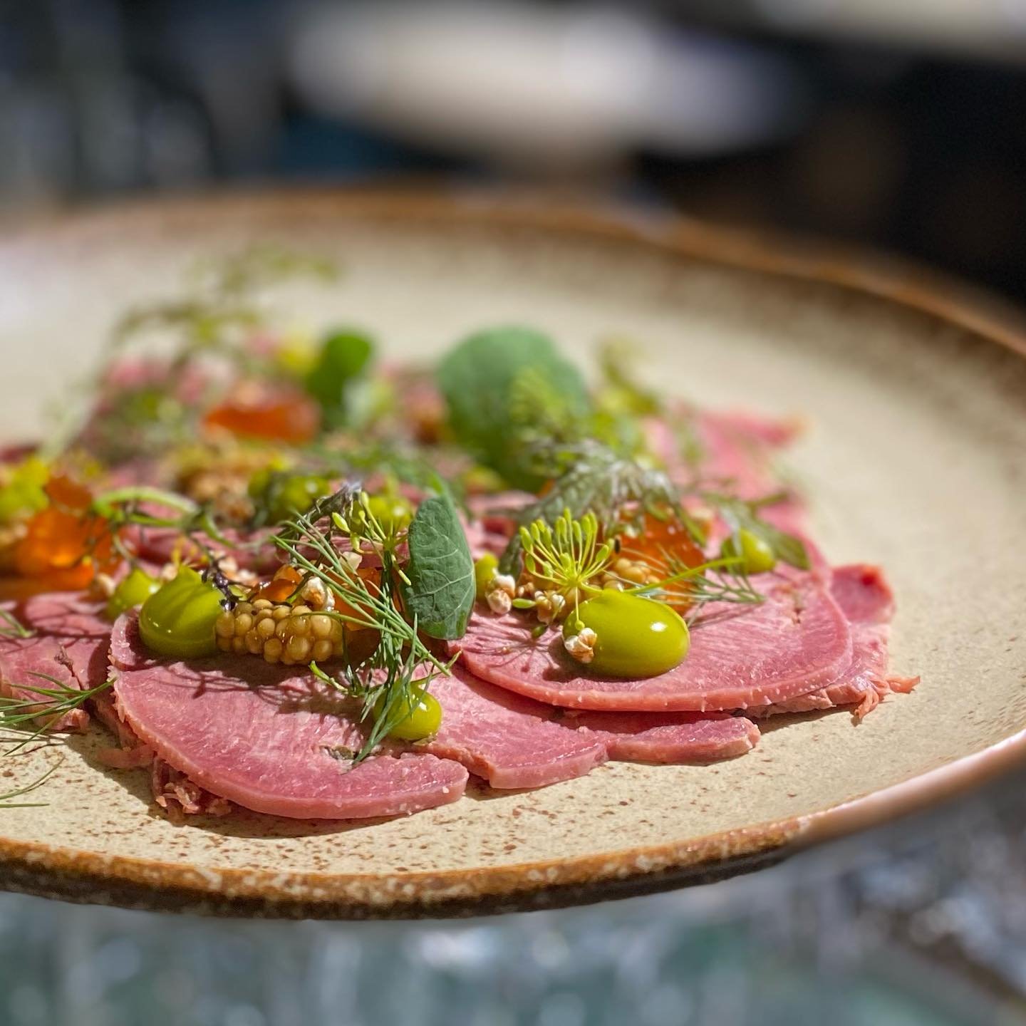 The Best Restaurants in Brno, Czech Republic: Where to Eat Like a Local