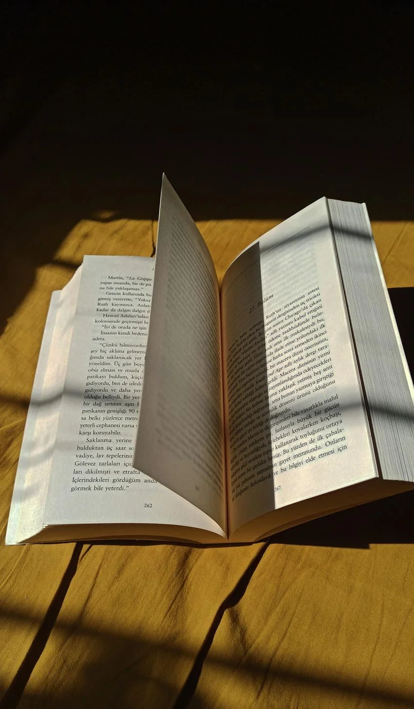 What Is Developmental Editing? All You Need To Know