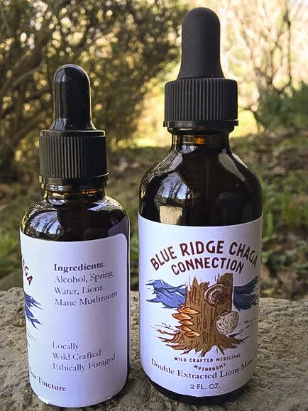 BRAIN BOOST TINCTURE - 1 Ounce or 2 Ounces — BLUE RIDGE CHAGA CONNECTION