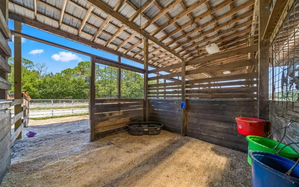 Hidden Acres Rescue for Thoroughbreds (HART)