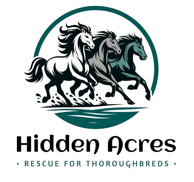 Hidden Acres Rescue for Thoroughbreds