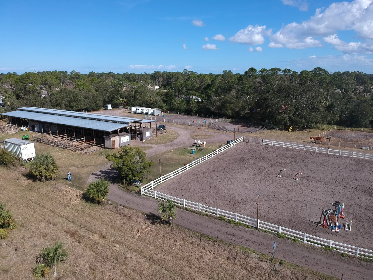 Photo Gallery | Hidden Acres Rescue for Thoroughbreds — Hidden Acres ...