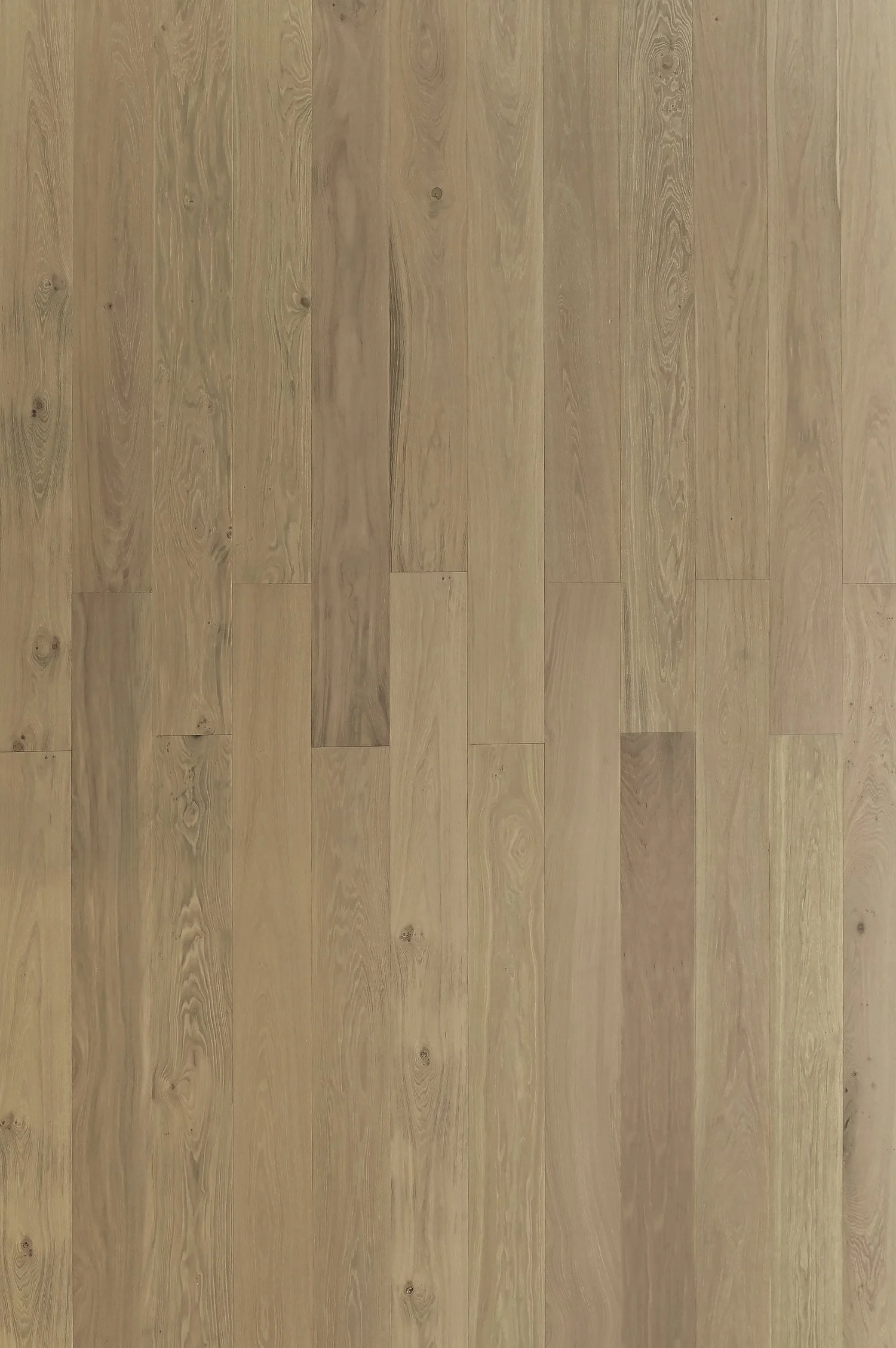 True Flooring West: Wholesale Excellence in Flooring Solutions