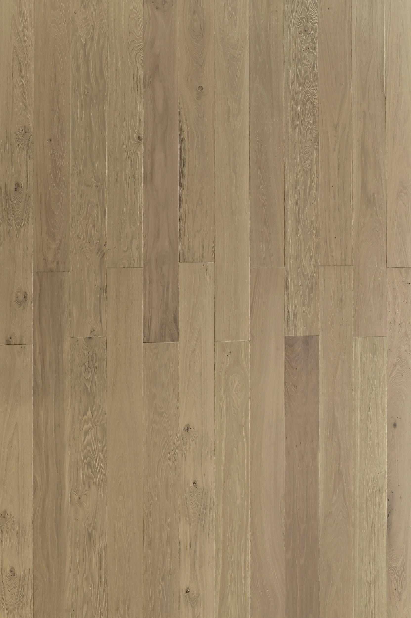 True Flooring West: Wholesale Excellence in Flooring Solutions