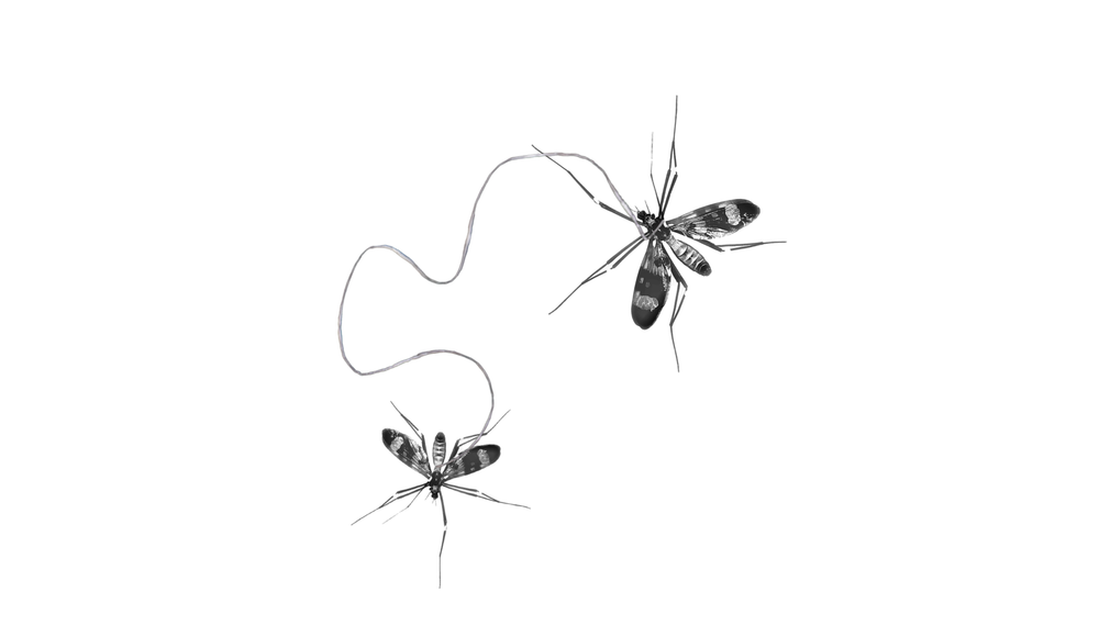 River Styx – Poetry — River Styx Magazine