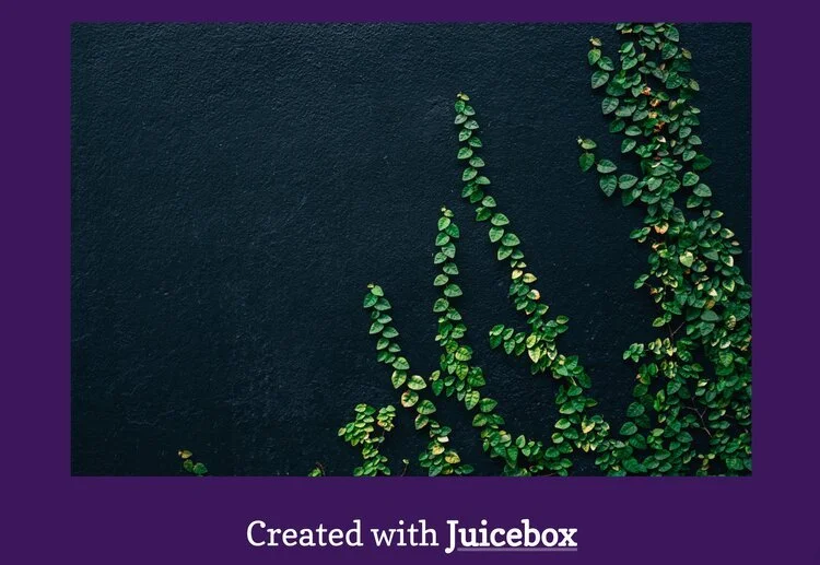 Tips for Using Photos in Data Storytelling — Juice Analytics